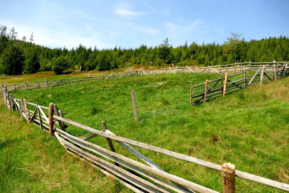 Rezerwat Barania Góra - Beskidy i Śląsk Cieszyński Rezerwat Barania Góra - Beskidy i Śląsk Cieszyński